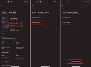 OEM Unlock: How to, Uses, Advantages, Disadvantages | TechLatest