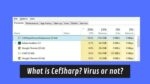 What Is CefSharp.BrowserSubprocess.exe? Is It A Virus? | TechLatest