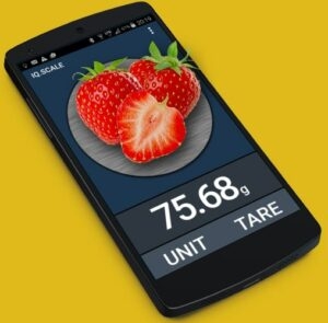 9 Best Digital Scale Apps (Android and iOS) | TechLatest