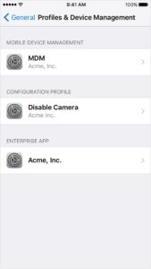How to Trust an App on iPhone? | TechLatest