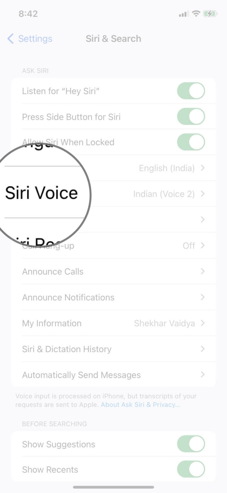 Step-By-Step Process to Change Siri Voice | TechLatest