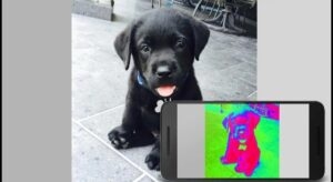 9 Best Infrared Camera Apps | TechLatest
