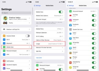How To Check Data Usage On iPhone? | TechLatest