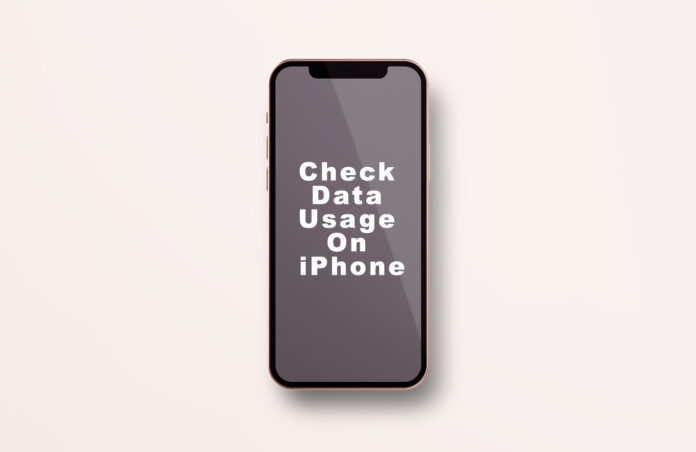How To Check Data Usage On Iphone Techlatest 2999