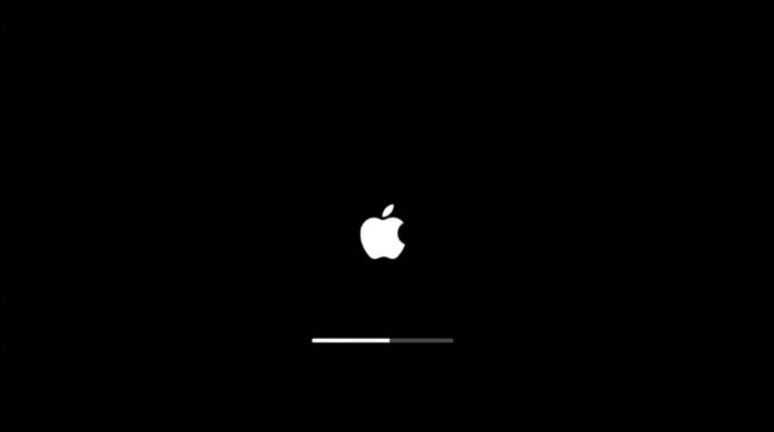 Why Did My MacBook Pro Screen Go Black? | TechLatest
