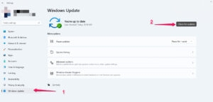 How to Fix the "Entry Point Not Found" Error in Windows? | TechLatest