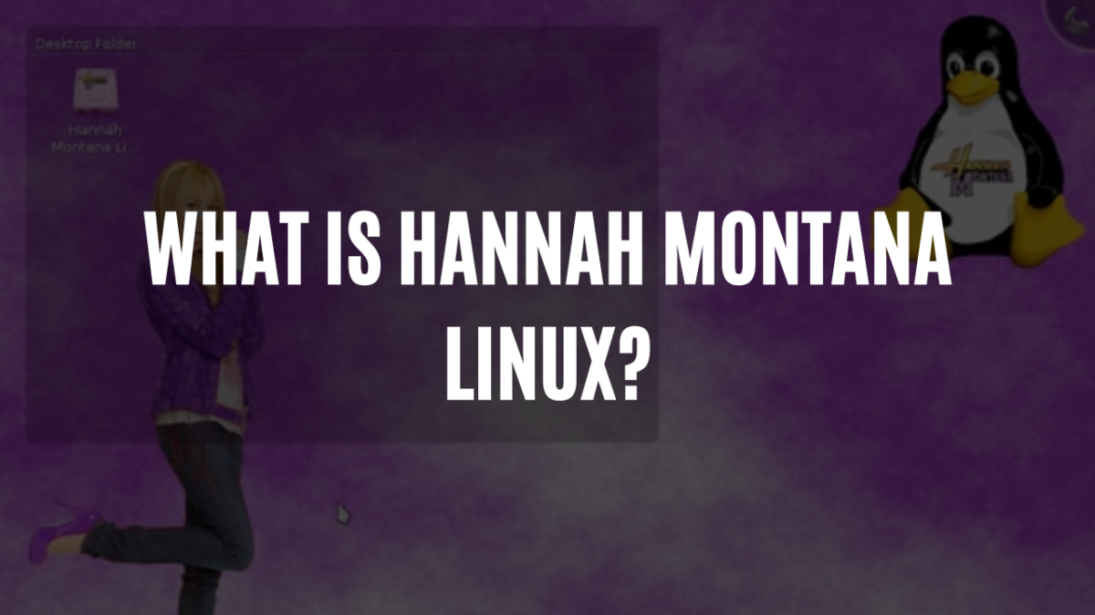Hannah Montana Linux: What is It? Better than other Distro? | TechLatest Hannah Montana Linux: What is It? Better than other Distro? | TechLatest