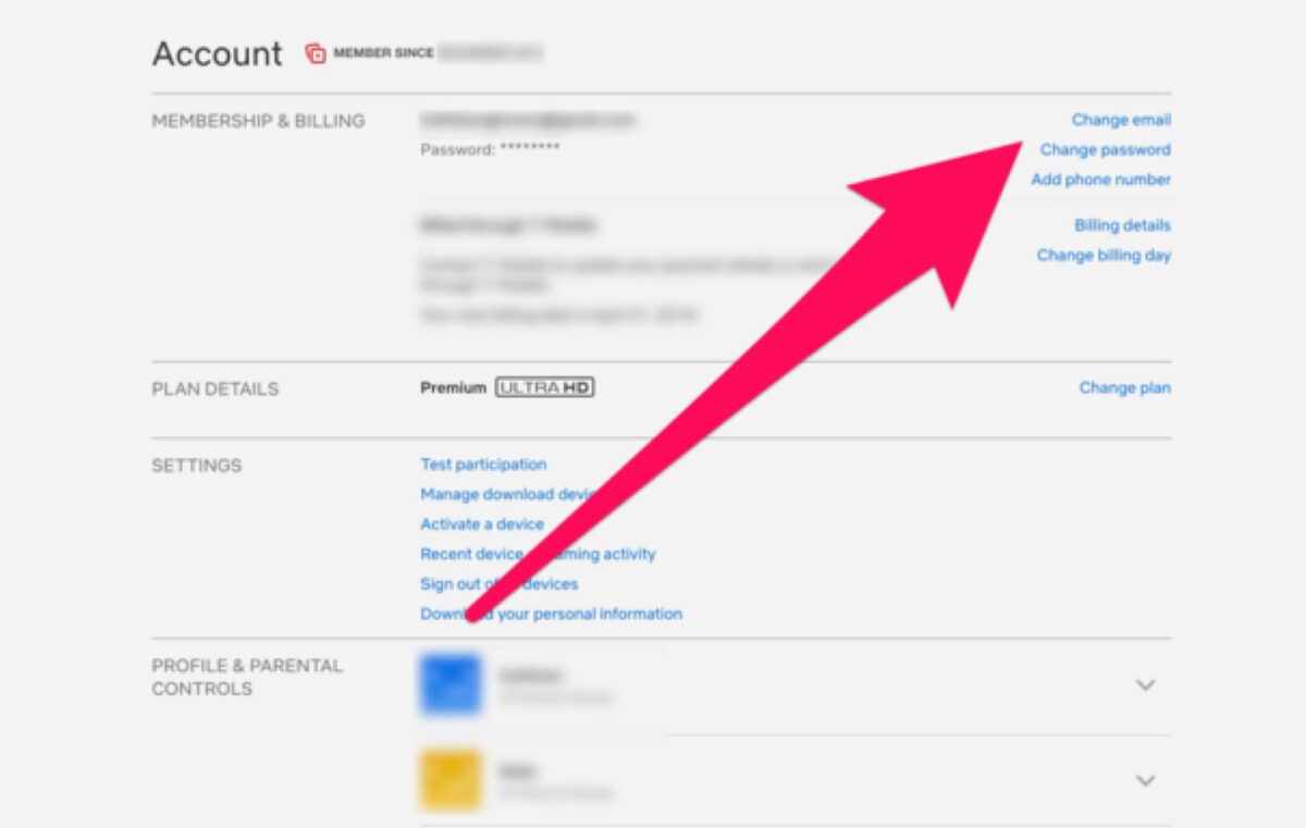[Fix] Netflix: "Too many people are using your account" | TechLatest