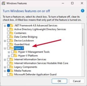 How to Enable and Use Hyper-V on Windows 11? | TechLatest