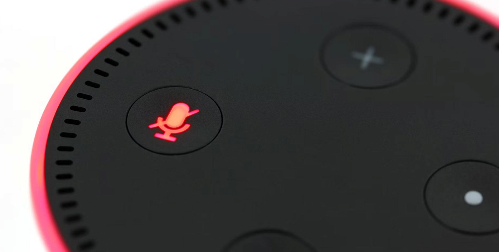 What to do If Alexa Not Responding But Lighting Up? | TechLatest