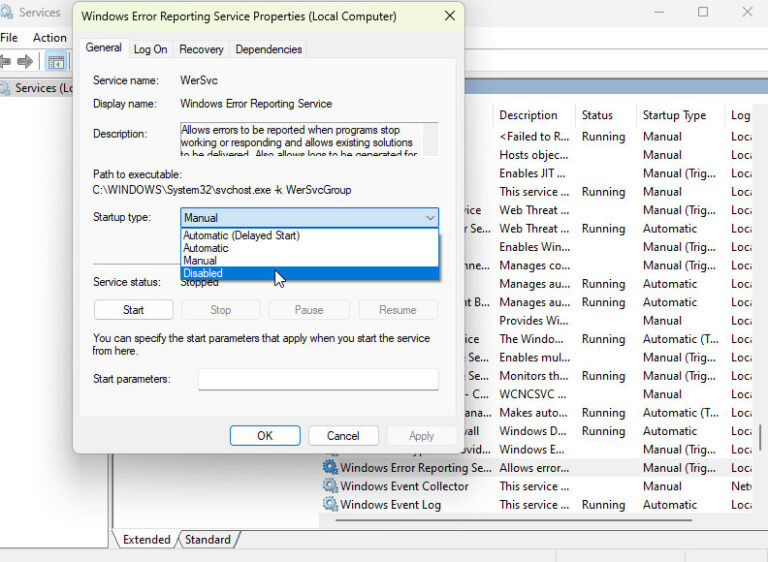 How to Fix Werfault.exe Error in Windows PC? | TechLatest