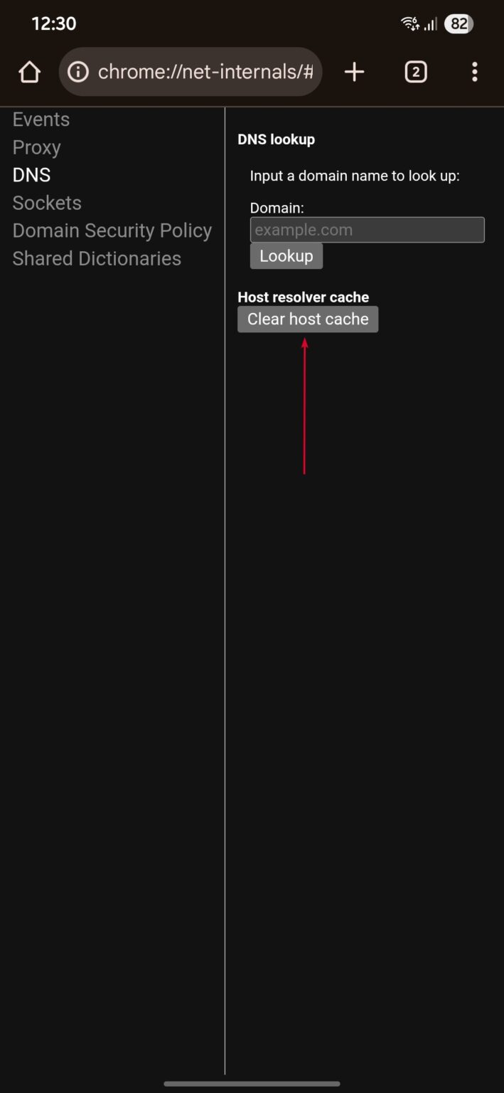 Step-by-Step Guide to Using chrome://net-internals/#dns on Desktop ...